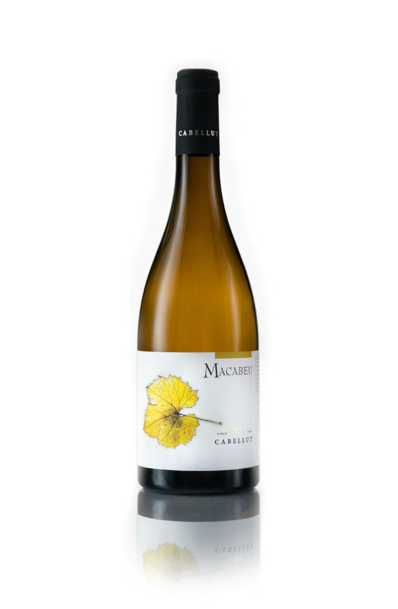 Macabeu Rich White Wine – Masia Cabellut